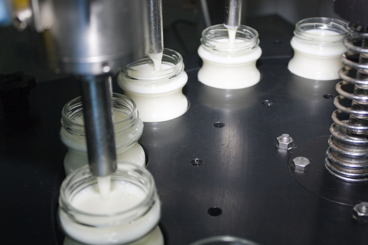 Dairy Food Solutions – MEGGLE Business Unit Food Ingredients